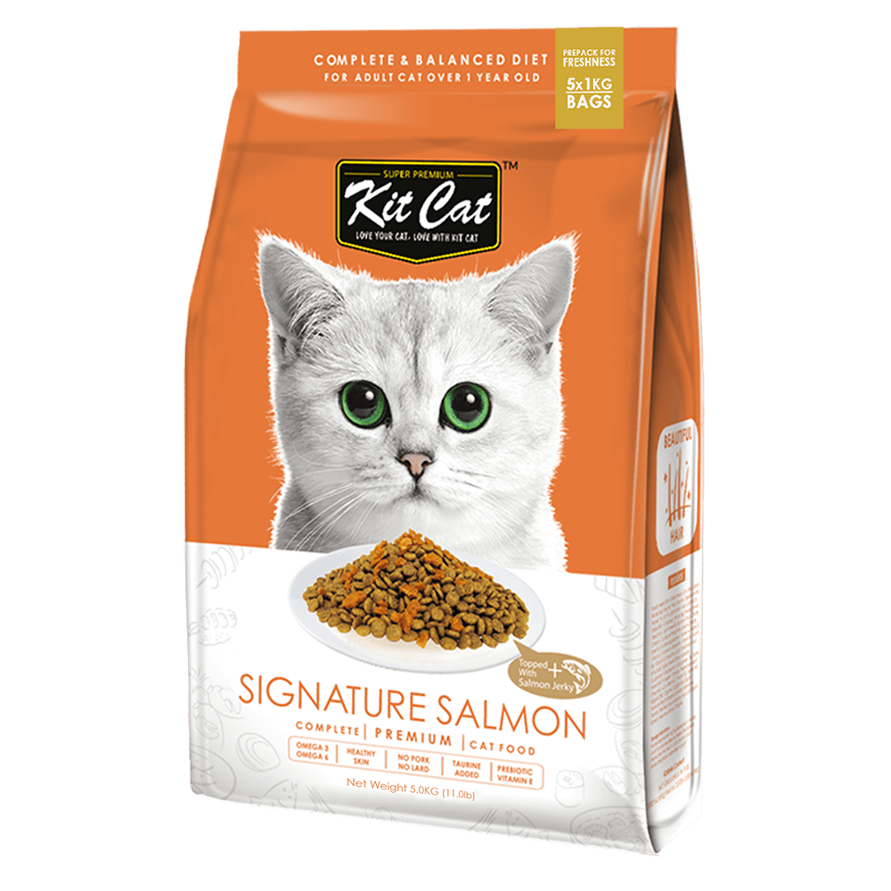 Dry Food Kit Cat Thailand Dry Food Kit Cat Thailand